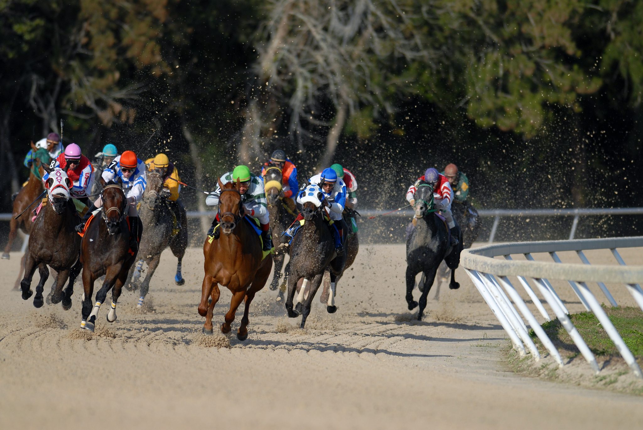 Horse, Jockey, Race: Tips to nail your investor pitch - Bospar Public ...
